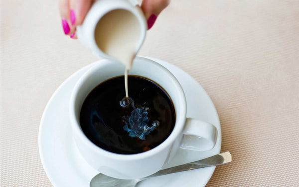 Protein Coffee Creamer - Nutracelle