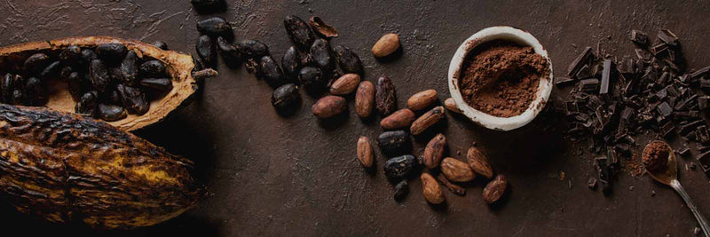 Real Cocoa - Nutracelle